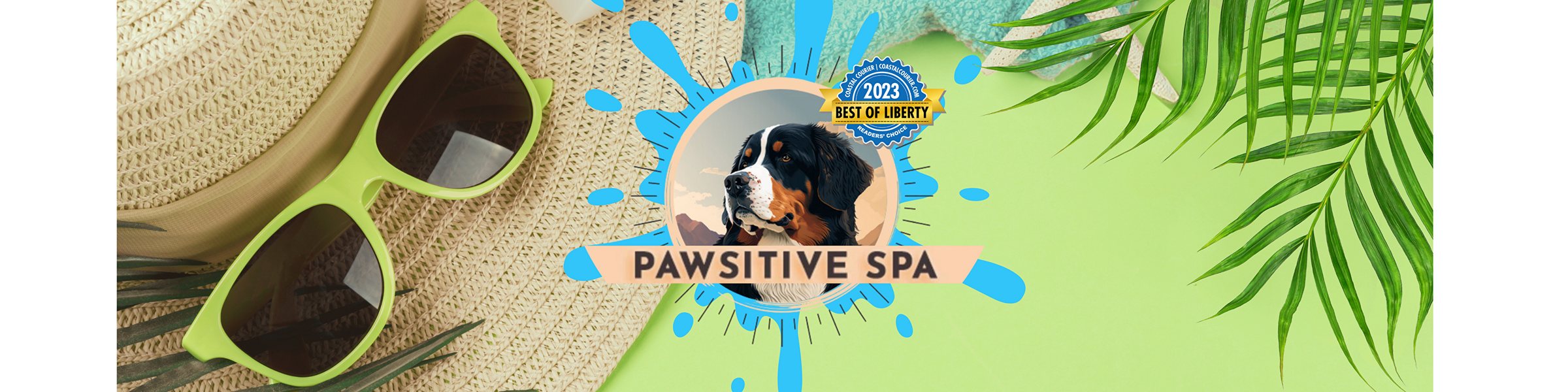 Dog Grooming | Pawsitive Spa